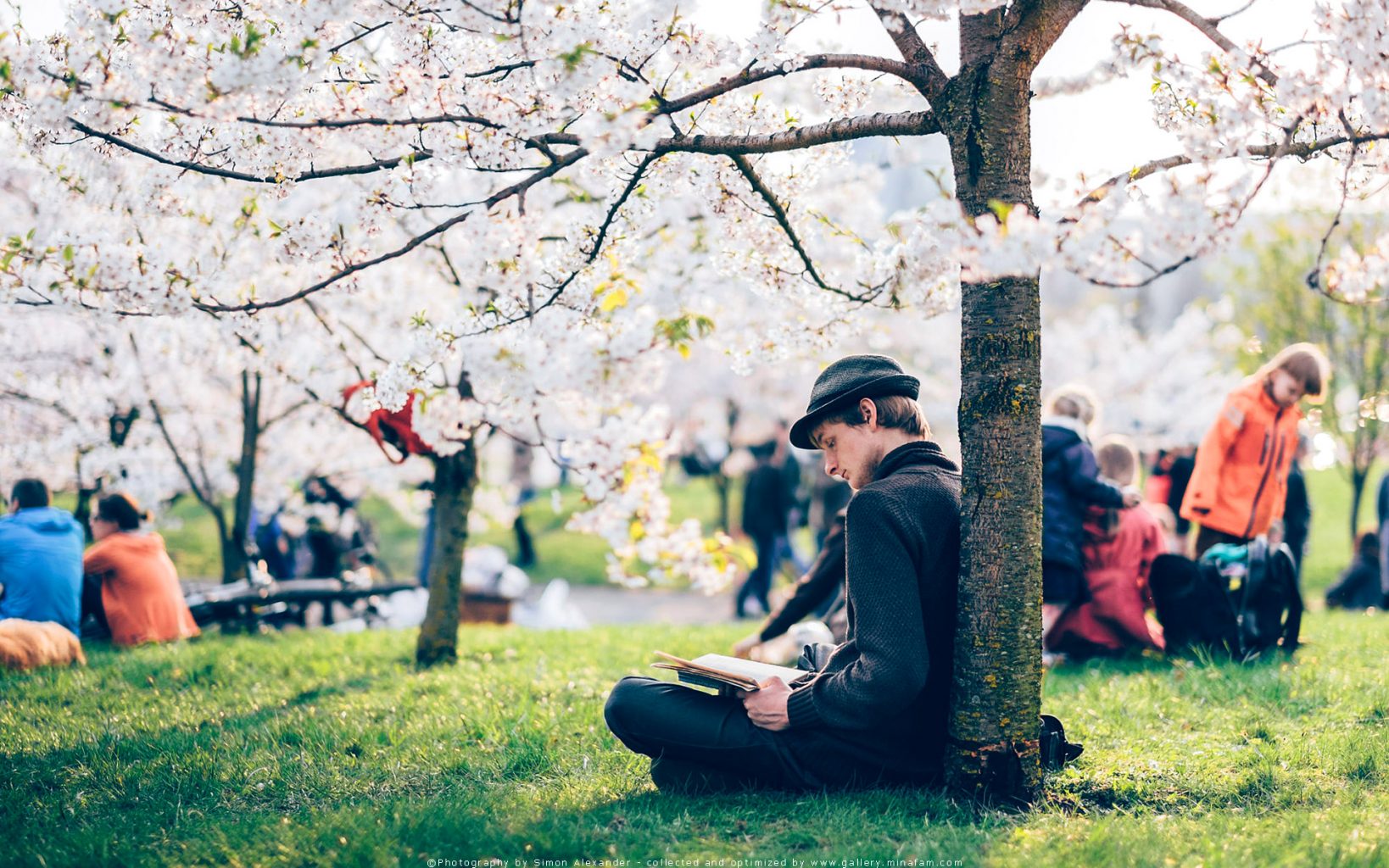 تعطیلات نوروزی خود را چگونه گذراندید؟ > Mobtakeran مبتکران